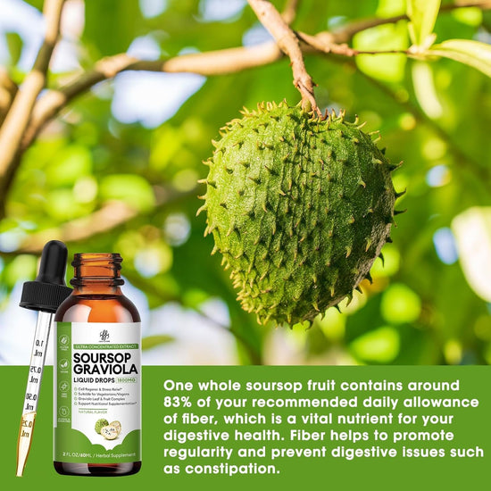 Soursop Graviola Liquid Drop for Cell Support & Regeneration, Immune B ...