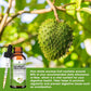Soursop Graviola Liquid Drop for Cell Support & Regeneration, Immune B ...
